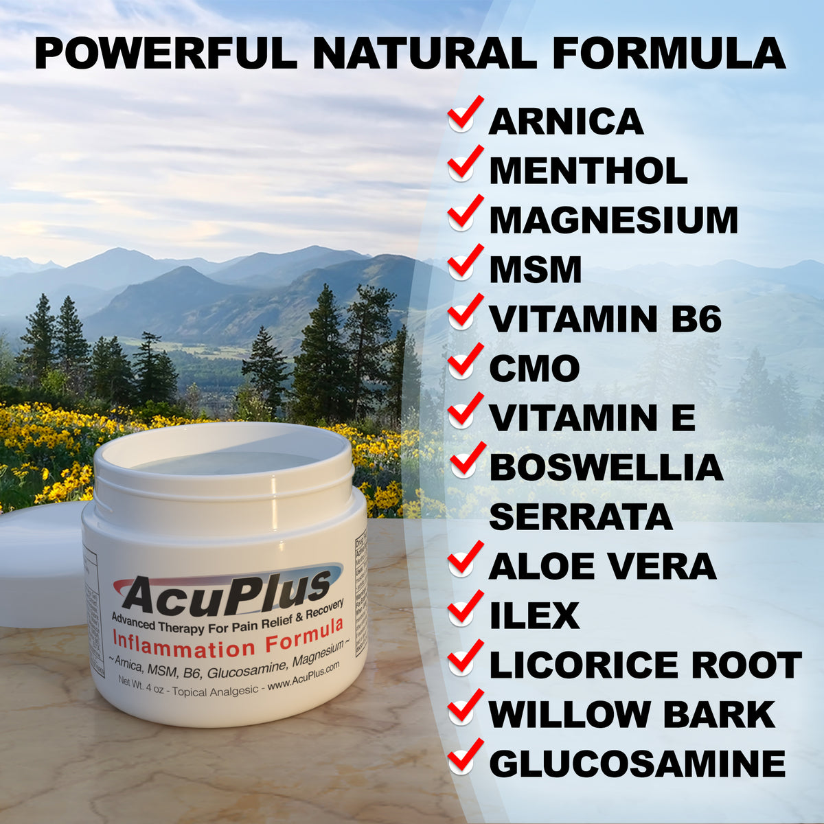 AcuPlus Pain Relief Combo